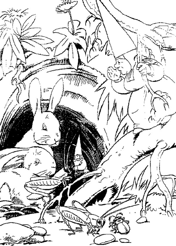 Kids-n-fun.de | Malvorlage David der Kabauter David der Kabauter