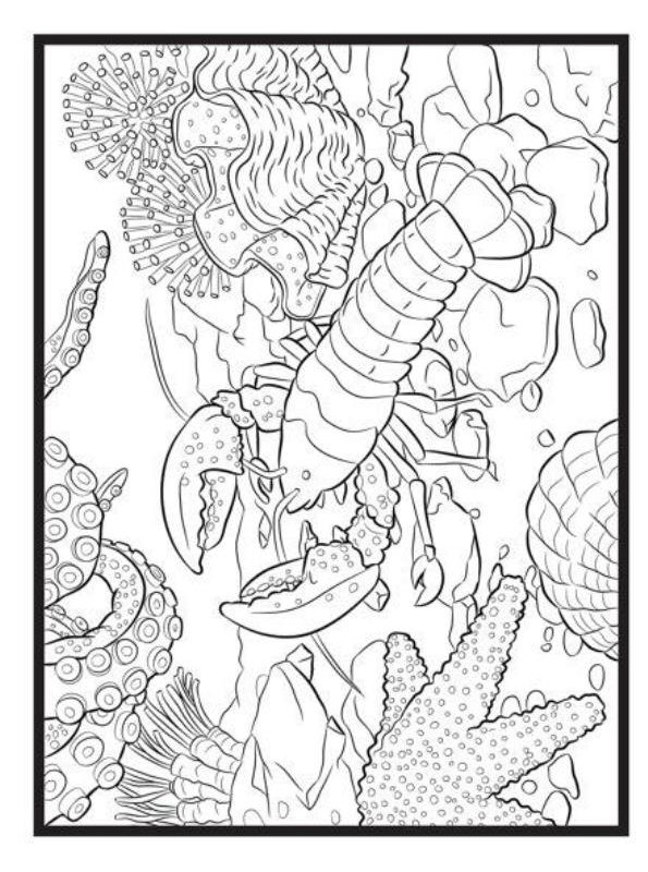 Kids-n-fun.de | Malvorlage Hummer Hummer